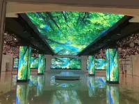 China Indoor Full Color P4.81 Rental LED Screen Display 500x1000mm for sale