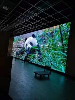 China Stage LED Curtain Screen P3.91 P4.81 500x500mm Cabinet for Rental Event for sale