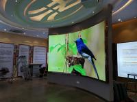 China P3.91 Indoor LED Stage Background Curtain 500x500mm Cabinet 5500nits Brightness Nova System for sale