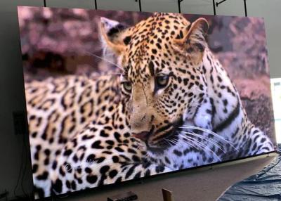 China SMD2121 Full Color LED Panel High Brightness Fine Pixel Pitch Display for sale