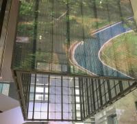 China P3.91-7.82 Full Color Transparent LED Screen 1500cd Brightness for Glass Curtain Walls for sale