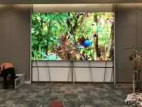 China SCX P3.91 Indoor Full Color LED Display 500x500mm Die Cast Aluminum Cabinet 1200cd/m² for sale