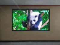 China 512x512mm SMD RGB P4 Indoor LED Display Panel with 120° Viewing Angle and 62,500 Pixels/m² Density for sale