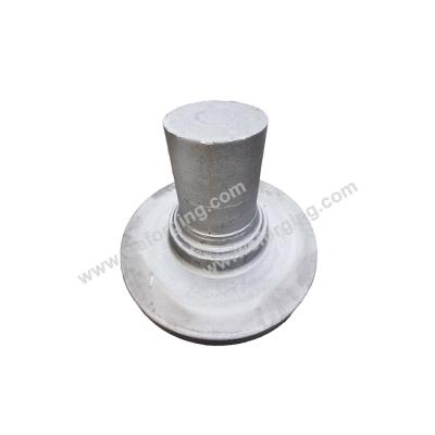 China Custom Hot Forging Machining Forgings Metal Discs And Shaft Large Gear Manufacturers Machining Forged Steel for sale