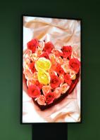 China 75 inch Indoor Digital Signage Displays , High Brightness for Store Window Advertising for sale