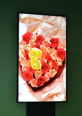 China 75 inch Indoor Digital Signage Displays , High Brightness for Store Window Advertising for sale