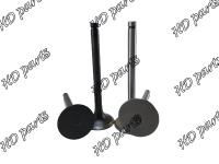 China PE6T Engine Piostion Valve 13202-96001 13201-96000 For Nissan for sale