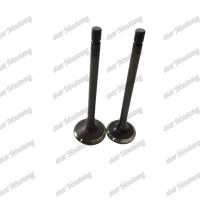 China 4JJ1 Diesel Engine Valve 8-97309-675-1 8-97309-677-1 for Industrial Applications for sale