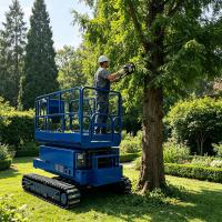 China Electric Tracked Scissors Lift Platform Auto Leveling Crawler 6m 8m 26ft 250kg For Muddy Sites for sale