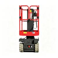 China Telandor Tracked Order Picker Commercial Greenhouse And Vertical Urban Farming Hub for sale
