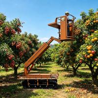 China Robust Telandor Tracked Scissor Boom Lift Platform 60 foot 500kg for sale