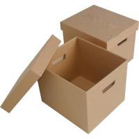 China Matt Lamination Cardboard Box Insulated Handbags For Moving And Shipping for sale