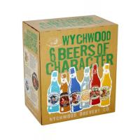 China 24 Bottles Paper Wine Beer Carrier Packaging Boxes Custom Size for sale