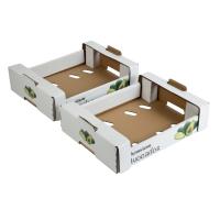 China Direct Custom Printing Rectangle Corrugated Box For Avocado Fruit for sale