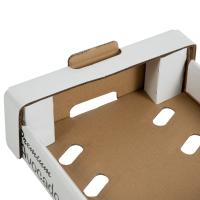 China Direct Custom Printing Rectangle Corrugated Box For Avocado Fruit for sale