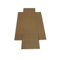 China Fruit And Vegetable Disposable Picnic Box Of Shipping By Air for sale