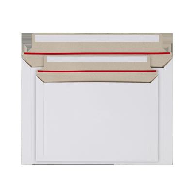 China Eco-Friendly Kraft Paper Mailer with Adhesive Seal - A5/A4/A3 Sizes, Custom Logo Printing for Sustainable Shipping for sale