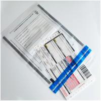 China Custom Security Tamper Evident Bags 2 Ton MOQ with ISO-9001 Certification for Banking Evidence Collection for sale