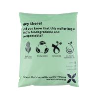 China 2025 NEW Compostable Shock-Absorbent Bubble Lined Poly Bags Biodegradable Mailing Bags for Sustainable for E-commerce for sale