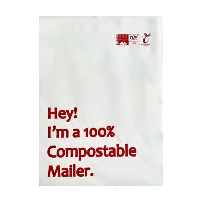 China Biodegradable Eco Friendly Poly Mailer Bags for Shoes Packing Custom Logo 2 Ton MOQ for sale