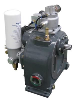 China 5.5HP-10HP Screw Compact Unit Airend for sale
