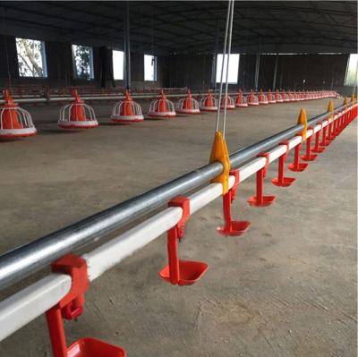China Hen Chicken Farm Poultry Feeder Drinker Animal Hdg Sheet for sale