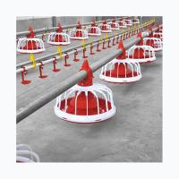 China Chicken Poultry Automatic Pan Feeding System Nipple Drinking Line for sale
