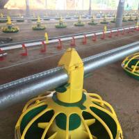 China Poultry Auto Auger Broiler Pan Feeding System Chicken Water Drinking System for sale