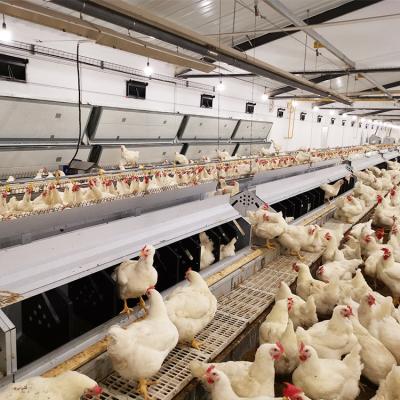 China Poultry Farms Pan Feeder System Chicken Breeding for sale