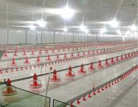 China Chicken Farm Chain Automatic Pan Feeding System 1 Phase for sale