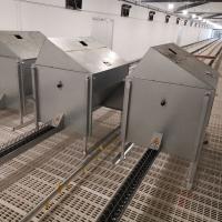 China Chicken House Commercial Poultry Equipment Ground Breeding Breeder System For Broiler for sale