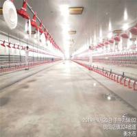 China Automatic Duck Steel 12mm Poultry Farm House for sale