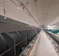China PVC Poultry Farm Equipment for sale
