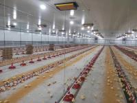 China PVC Poultry Farm Equipment for sale