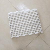 China Chicken Equipment Plastic Mesh Floor Poultry Slat Flooring for sale