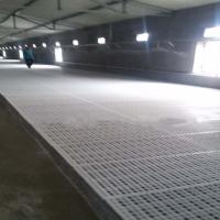 China Chicken Equipment Plastic Mesh Floor Poultry Slat Flooring for sale