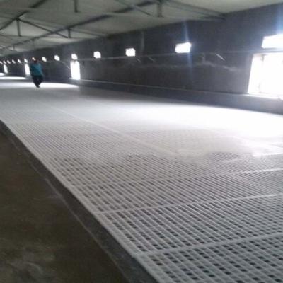 China Chicken Equipment Plastic Mesh Floor Poultry Slat Flooring for sale