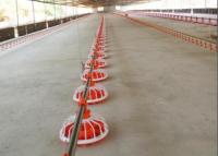 China 20 Birds/M² 300g Automatic Pan Feeding System for sale