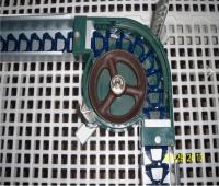China Chain Feeder System Chicken Breeding Equipment for sale