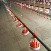China Full Set Drinker Line chicken farm building Automatic Poultry Nipple Drinking System For Chickens for sale