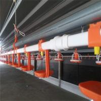 China Full Set Drinker Line chicken farm building Automatic Poultry Nipple Drinking System For Chickens for sale