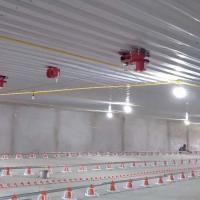 China Electrical Environmentally Controlled Poultry House for sale