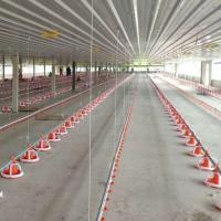 China Electrical Environmentally Controlled Poultry House for sale
