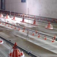 China Dia 45mm Galvanized Chicken Nipple Drinker System for sale