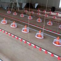 China Chicken 15 Nipples/3m Automatic Drinker Cup System for sale