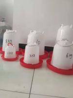 China Ground Chicken Anti Crush 10L Poultry Feeder Drinker for sale