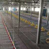 China 12 Birds 60HZ Poultry Farm Feeding System for sale
