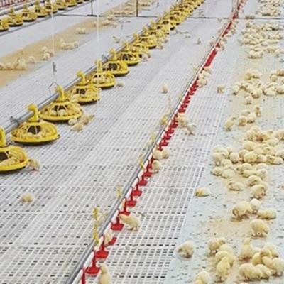 China 1.5kW 200L Poultry Automatic Pan Feeding System for sale