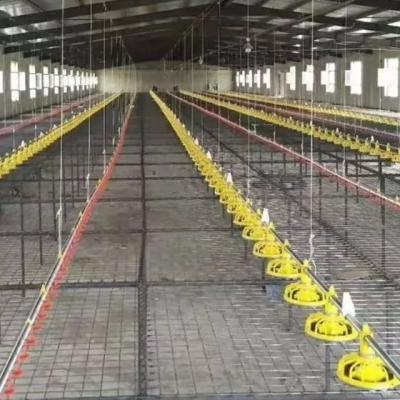 China Linear Feeder Poultry Automatic Pan Feeding System for sale
