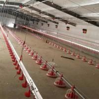 China 22ton 220V Auger Automatic Pan Feeding System Shed for sale